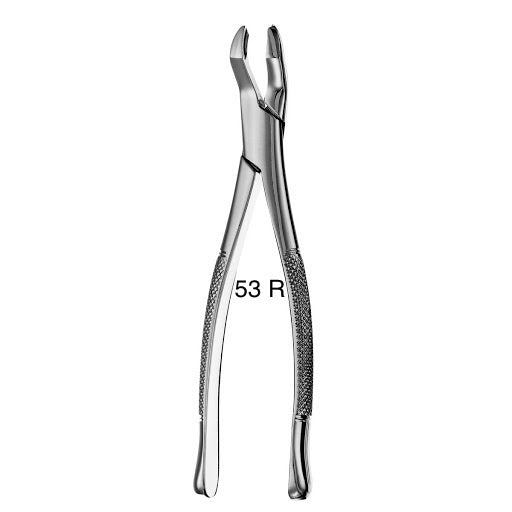 Forcep Adulto 6b Invent