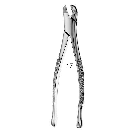 Forcep Arain